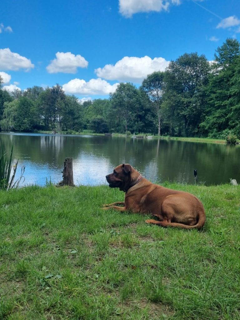 08/06/2024 Lac Lucie The Divvies Part I – Carpfrance